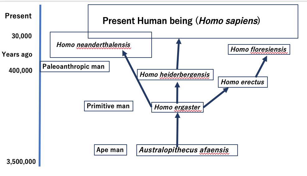Where do we, Homo sapiens, come from? | Awaji Island Institute for a ...